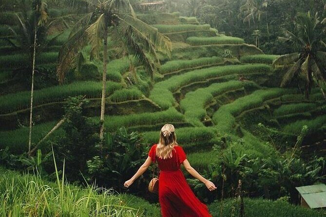 Ubud: Swing - Monkey Forest - Waterfall - Temple - Rice Terraces - Art Crafts - A Deep Dive into the Experience