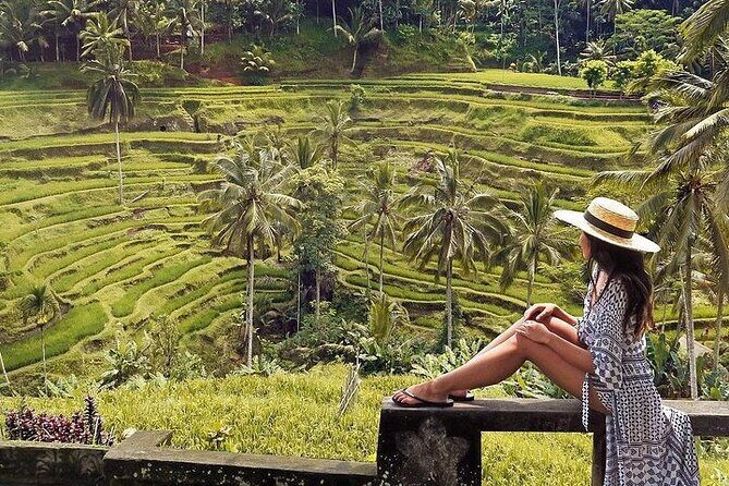 Ubud: Swing - Monkey Forest - Waterfall - Temple - Rice Terraces - Art Crafts - Who it’s best for: