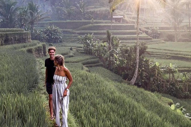 Ubud Swing, Rice Terrace and Waterfall Highlights Tour - Key Points