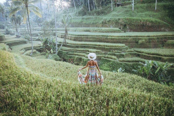 Ubud Swing, Rice Terrace and Waterfall Highlights Tour - Exploring Bali’s Rice Terraces and Adrenaline Rush