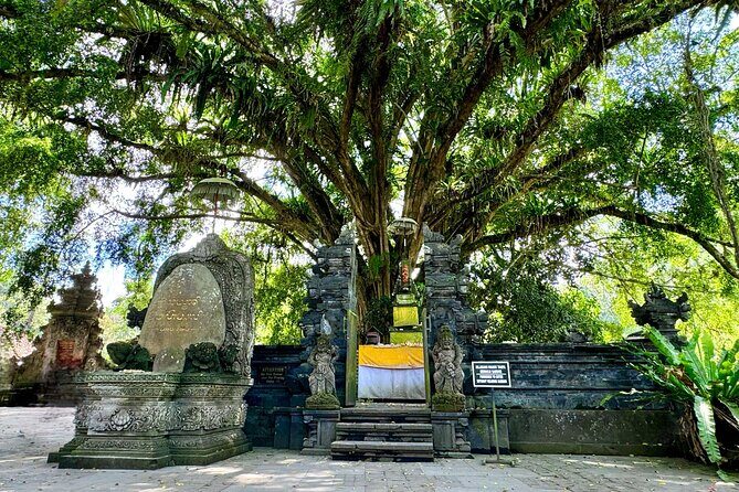 Ubud Tegalalang Private Car Tour - Who Should Consider This Tour?