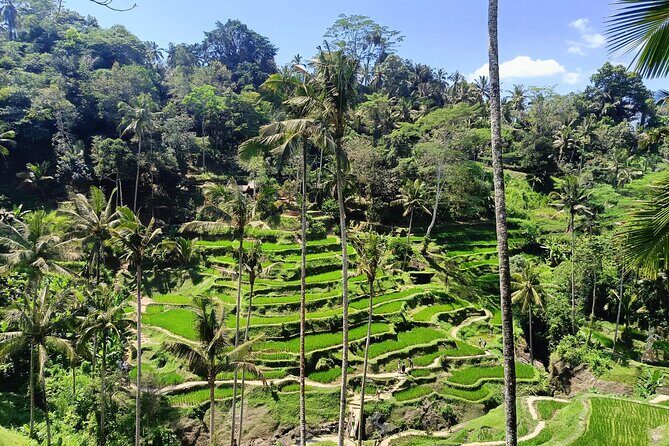 Ubud Tegalalang Private Car Tour - The Sum Up