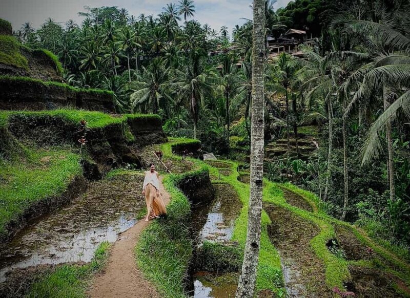 Ubud: Tegalalang Rice Terrace Photos Tour with Swing Ticket - Key Points