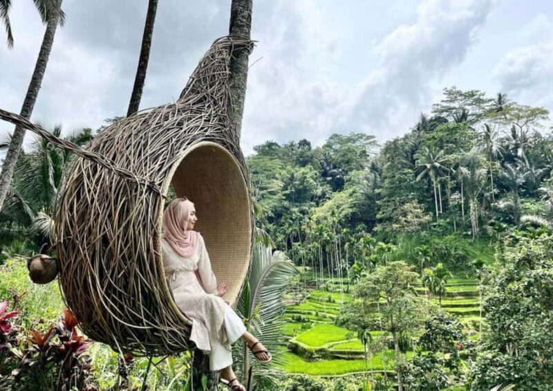 Ubud: Tegalalang Rice Terrace Photos Tour with Swing Ticket - The Jungle Swing: An Adrenaline Rush and a View