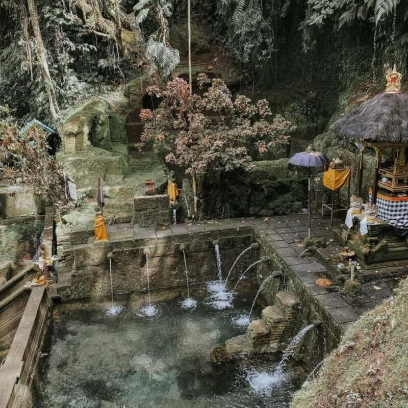 Ubud: Telaga Waja Temple, Waterfalls- Mancingan Rice Terrace - Discovering the Sacred and the Scenic in Bali’s Ubud Hinterland