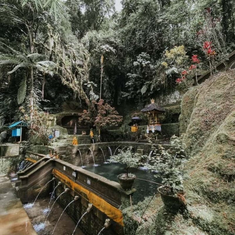 Ubud: Telaga Waja Temple, Waterfalls- Mancingan Rice Terrace - The Experience: Planning and Practicalities