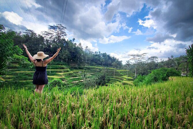 UBUD : Temple and Waterfall All Inclusive Day Tour - Optional and Passing Highlights