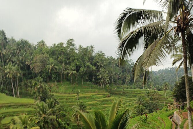 UBUD : Temple and Waterfall All Inclusive Day Tour - Practical Aspects and Considerations
