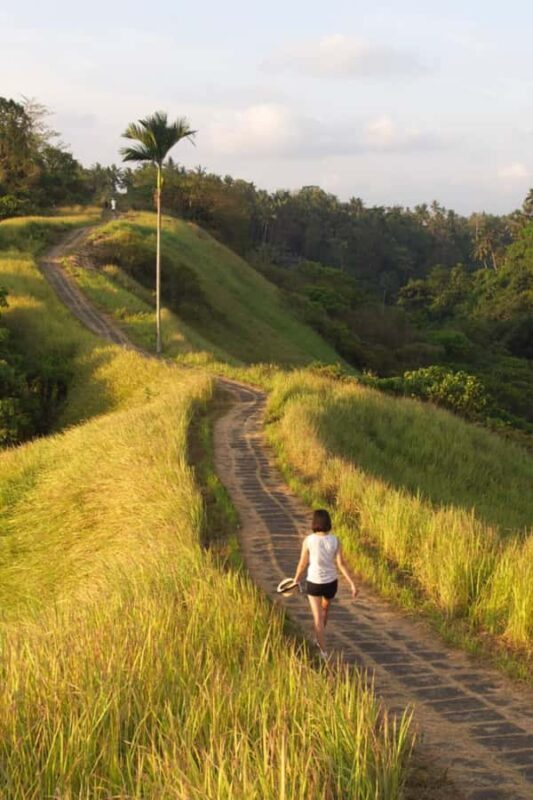 Ubud: Temple, Waterfall, Rice Terrace, Ubud Market & Palace - Key Points