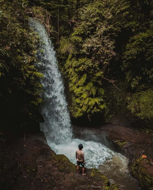 Ubud: Temple, Waterfall, Rice Terrace, Ubud Market & Palace - The Iconic Tegalalang Rice Terrace