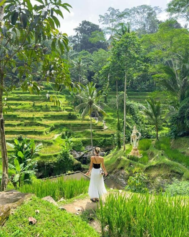 Ubud: Temple, Waterfall, Rice Terrace, Ubud Market & Palace - Manuaba Waterfall: A Hidden Gem