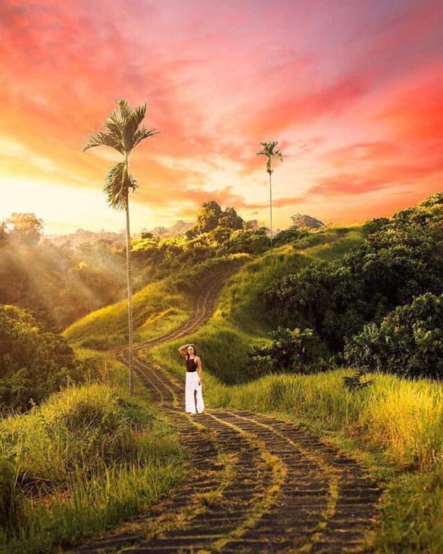 Ubud: Temple, Waterfall, Rice Terrace, Ubud Market & Palace - Who Should Consider This Tour?