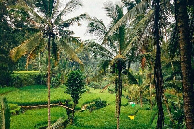 Ubud Temples, Waterfalls, Rice Terraces & Balinese Culture - FAQ