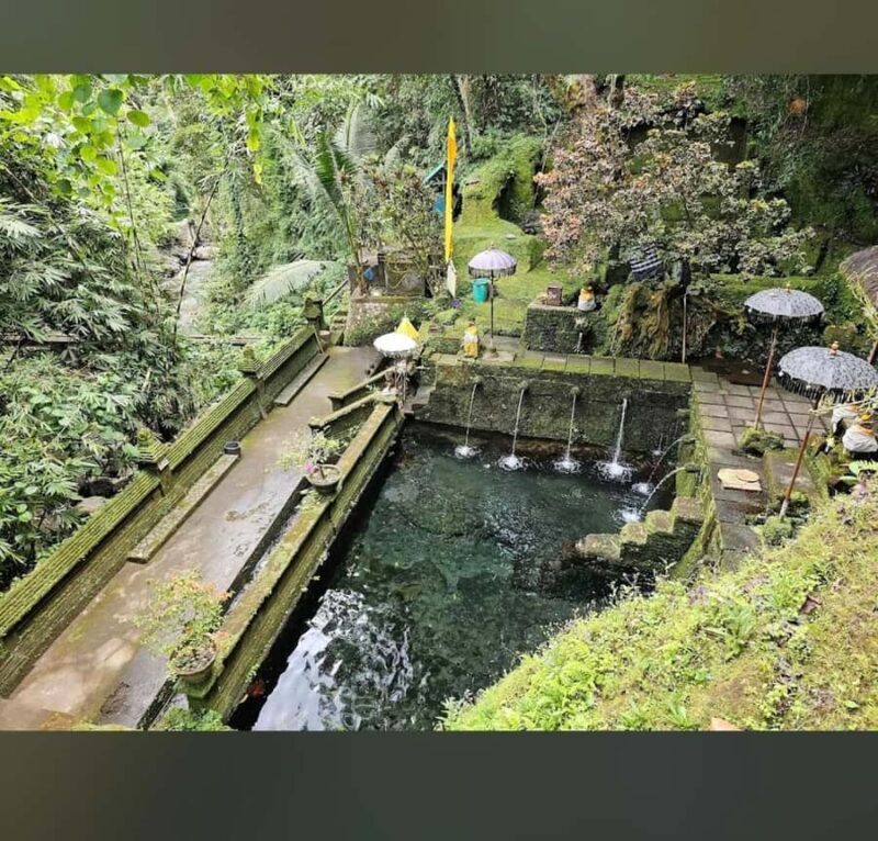 Ubud-Tgll: Telaga Waja Kenderan and Manuaba Waterfall Tour - Why This Tour Offers Good Value