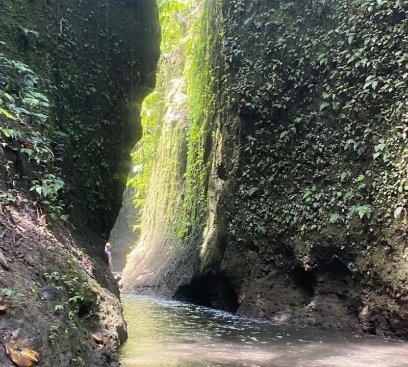 Ubud-Tgll: Telaga Waja Kenderan and Manuaba Waterfall Tour - Final Thoughts