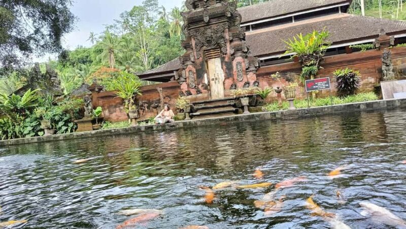 Ubud: Tirta Empul, Rice Terrace, Waterfall and Custom Tour - Introduction