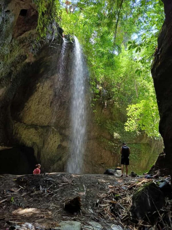 Ubud: Tirta Empul, Rice Terrace, Waterfall and Custom Tour - Who Is This Tour Best For?