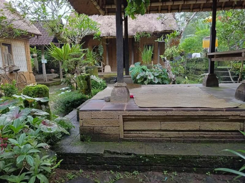 Ubud: Tirta Empul, Rice Terrace, Waterfall and Custom Tour - The Sum Up