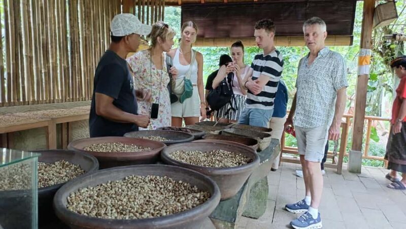 Ubud: Tirta Empul, Rice Terrace, Waterfall and Custom Tour - FAQ