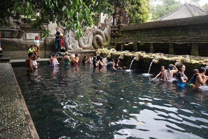 Ubud Tirta Empul Temple Blissful Cleansing - Starting Out: Forest Walk and Sanctuary