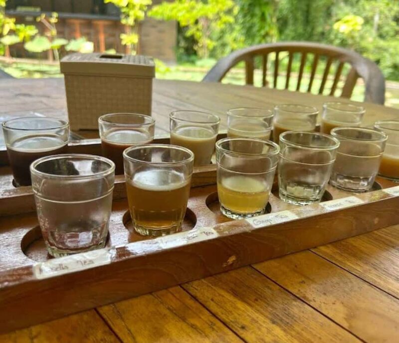 Ubud: Tirta Empul Temple E-Bike Tour with Lunch - Practical Details: What to Expect