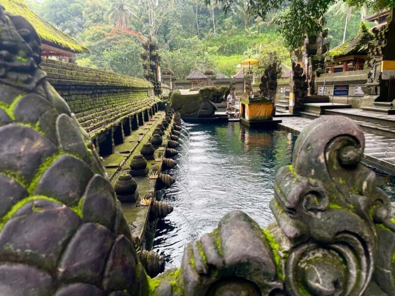 Ubud: Tirta empul temple, Rice terrace and Waterfall - An In-depth Look at the Ubud Tour