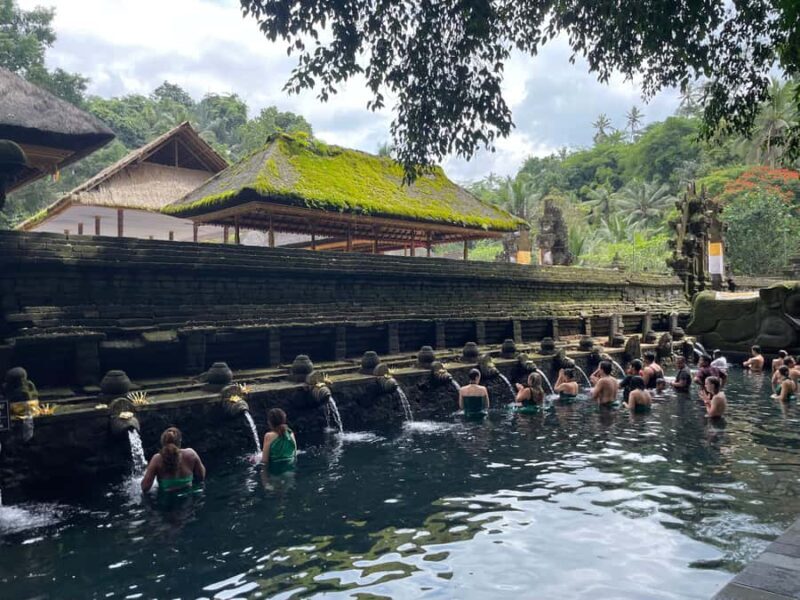 Ubud: Tirta empul temple, Rice terrace and Waterfall - Practical Tips & Considerations