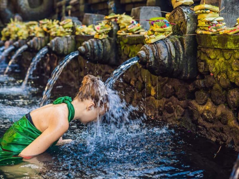 Ubud: Tirta Empul Temple, Rice Terraces, and Waterfall Tour - Discovering Bali’s Spiritual and Natural Treasures