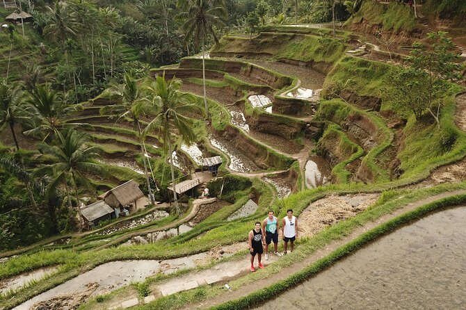 Ubud Top Attractions: Waterfalls, Temples and Rice Terraces - Final Thoughts