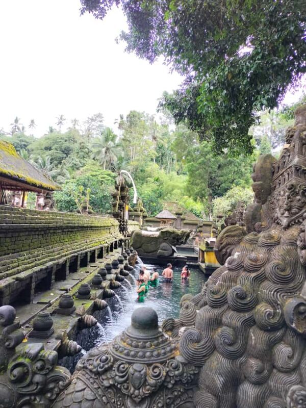 Ubud Top tour in a day - Exploring Bali’s Cultural and Natural Treasures in a Day