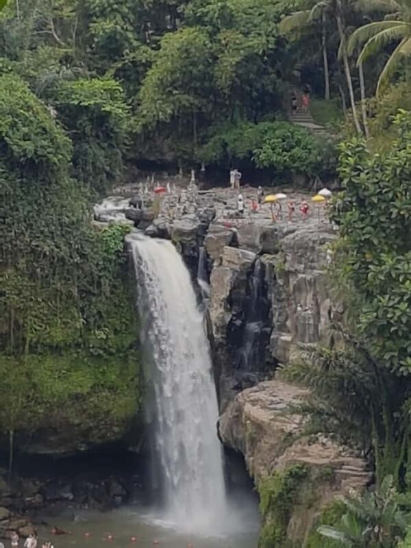 Ubud Top tour in a day - Detailed Itinerary Breakdown