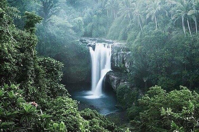 Ubud Top Tours to Discover Balis Cultural and Natural Wonders - The Verdict