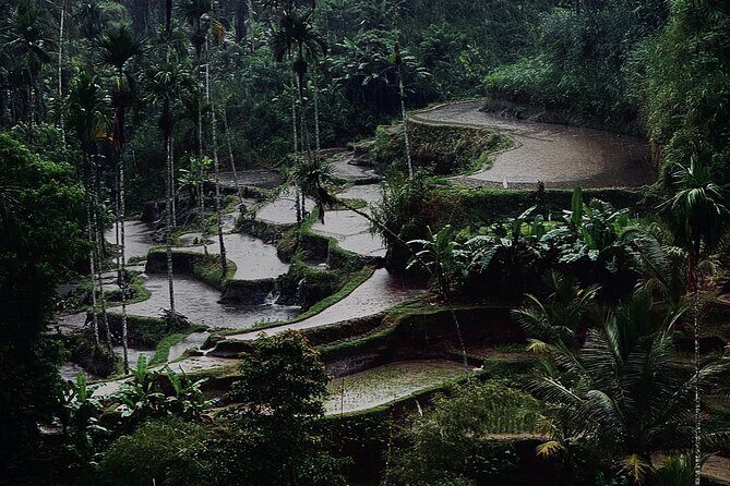 Ubud Top Tours to Discover Balis Cultural and Natural Wonders - Who Should Book This Tour?