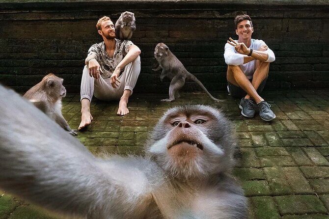 Ubud Tour-All Inclusive with Jungle Swing And Lunch - What Makes This Tour Valuable?