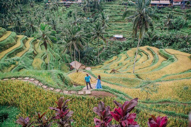 Ubud Tour - Best of Ubud - All Inclusive - A Full-Day Journey Through Ubud’s Top Sights