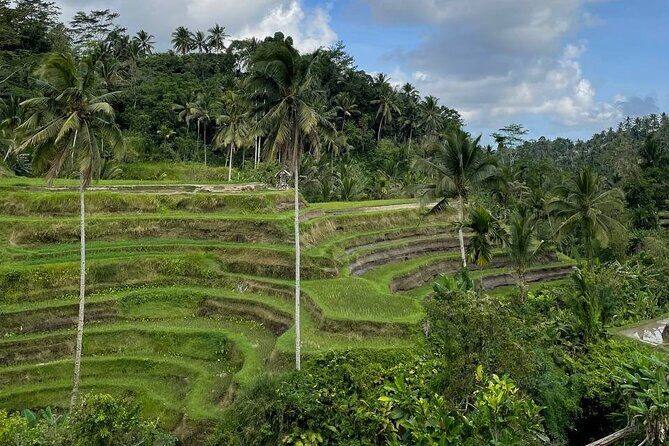 Ubud Tour - Highlight of Ubud - Traditional Tour - A Detailed Look at the Itinerary