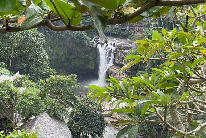 Ubud Tour - Highlight of Ubud - Traditional Tour - FAQ