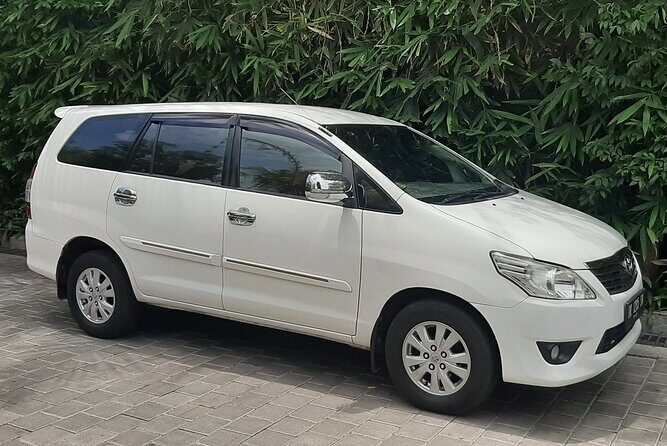 Ubud Tour - Highlights of Ubud - Exploring the Ubud Highlights Tour in Detail