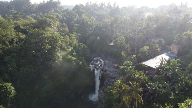 Ubud Tour Include Ticket Monkey Forest Rice Terrace and more - What to Expect: A Well-Planned, Flexible Day