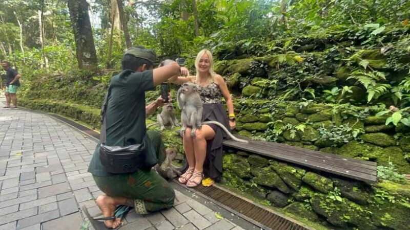 Ubud Tour Include Ticket Monkey Forest Rice Terrace and more - Practical Tips for Travelers