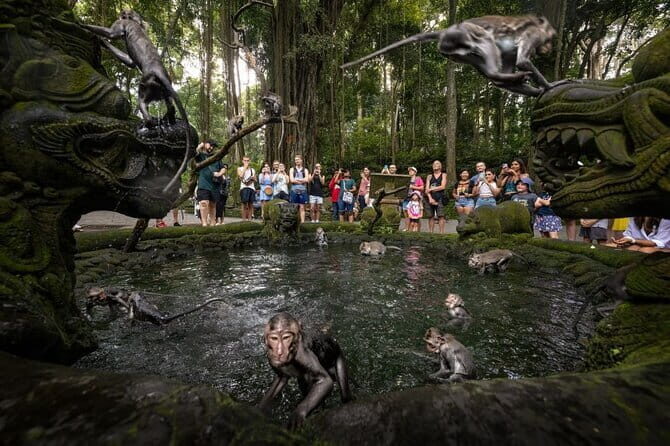 Ubud Tour: Monkey Forest, Rice Terrace, Waterfall, Water Temple - The Itinerary Breakdown: What Makes Each Stop Special?