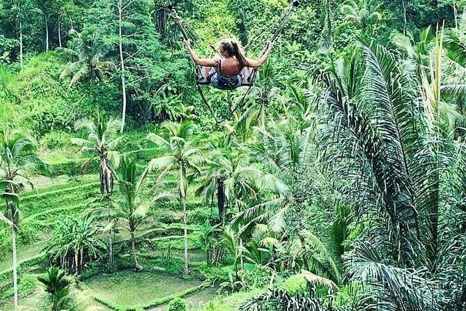 Ubud Tour: Monkey Forest, Rice Terrace, Waterfall, Water Temple - Who Should Consider This Tour?