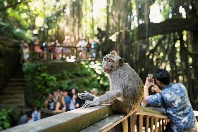 Ubud Tour: Monkey forest, rice terraces, temple, waterfall - Frequently Asked Questions