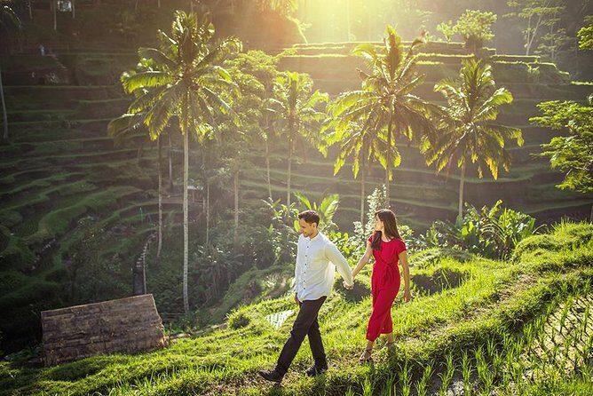 Ubud Tour - Monkey Forest, Temple, Waterfall, and Rice Terrace - A Deep Dive into the Ubud Experience