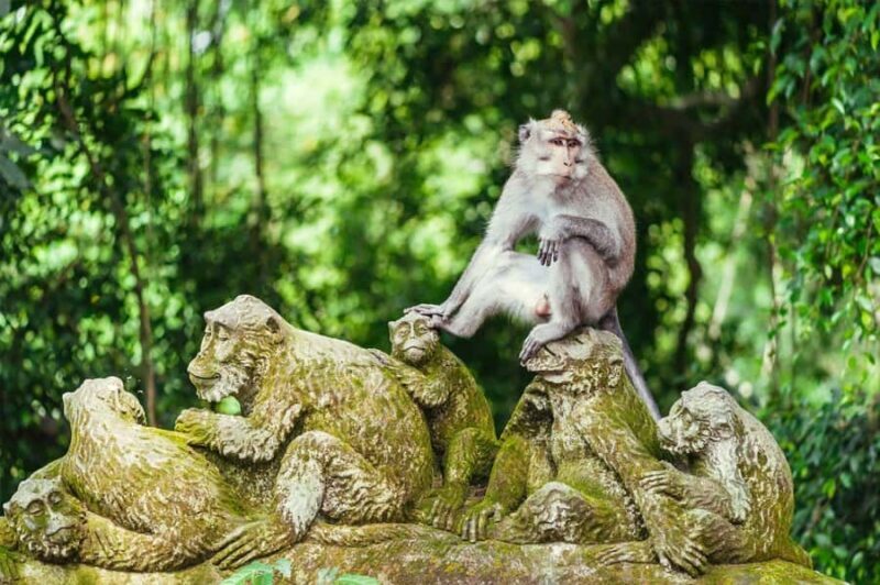 Ubud Tour: Monkey Forest, Water Temple & Jungle Club Fun Day - Setting the Scene: What This Tour Offers