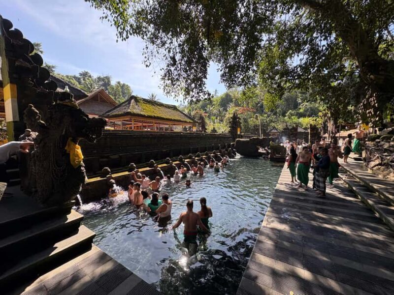 Ubud Tour: Monkey Forest, Water Temple & Jungle Club Fun Day - FAQ
