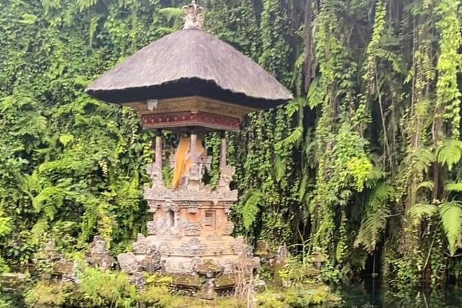 Ubud Tour - Ubud Highlight Culture, Tradition, Nature - Key Points