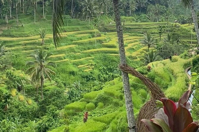 Ubud Tour - Ubud Highlight Culture, Tradition, Nature - An In-Depth Look at the Ubud Highlight Tour