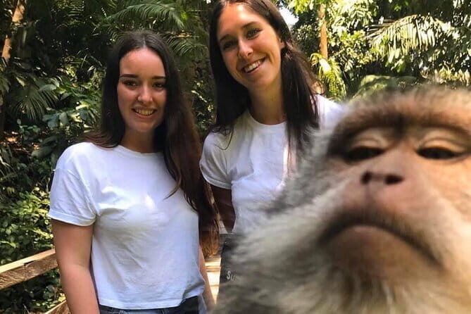 Ubud Tour - Ubud Highlight Culture, Tradition, Nature - What the Reviews Say