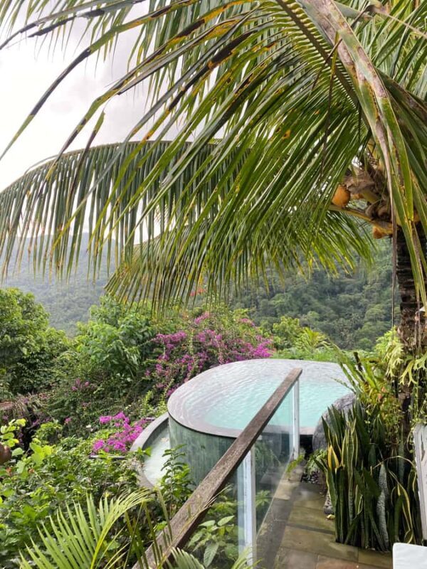 Ubud Tour : Ubud Higlight Culture,Tradition and Nature - Final Thoughts